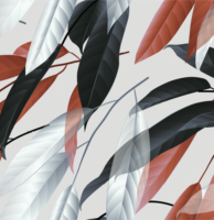 Bespoke Wall Coverings | CS Acrovyn by Design®