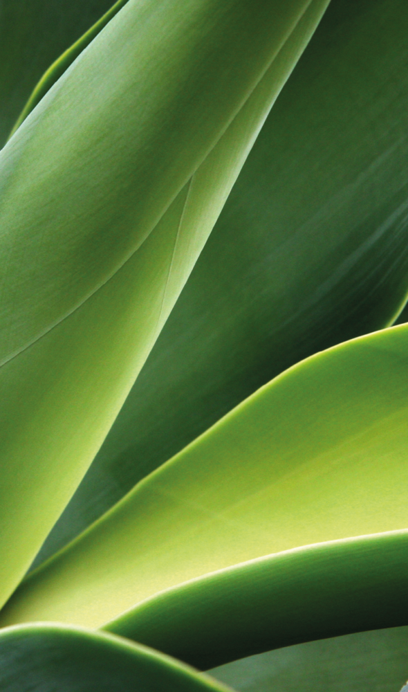 Couleurs CS Acrovyn®