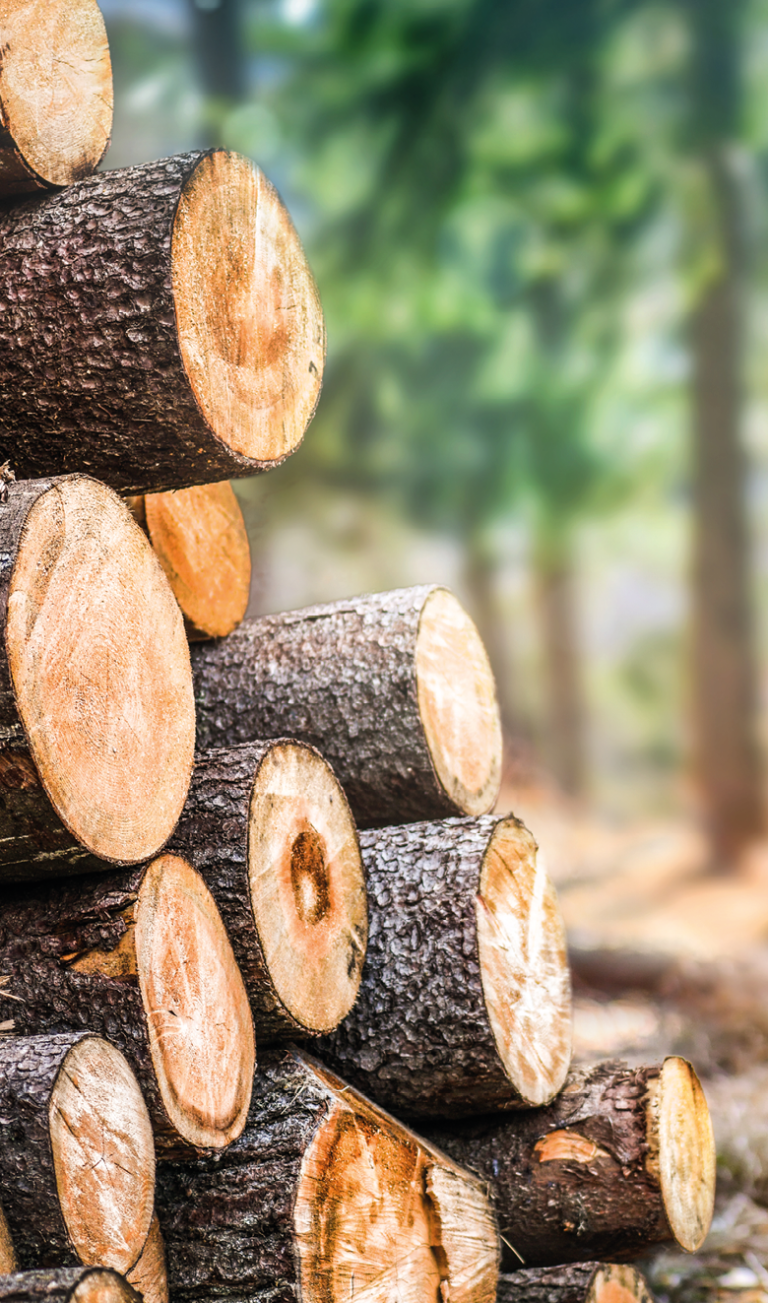 CS Acrovyn® Colours